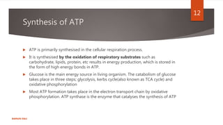 TOPIC 1 ENERGY PRODUCTION.pptx