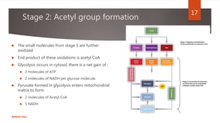 TOPIC 1 ENERGY PRODUCTION.pptx