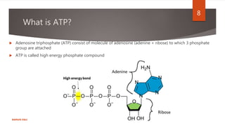 TOPIC 1 ENERGY PRODUCTION.pptx
