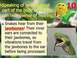 SCIENTIFIC METHOD.ppt