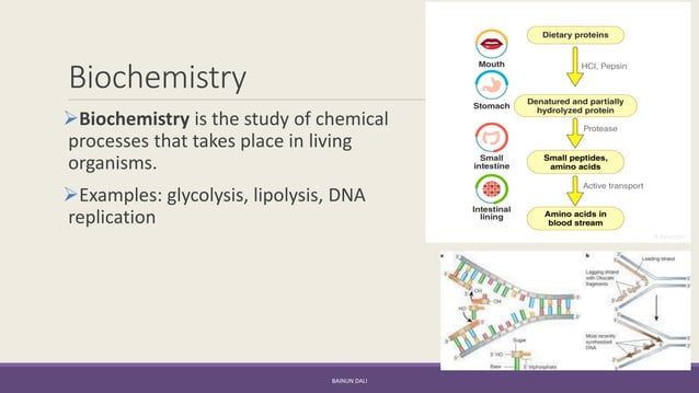 TOPIC 1 INTRODUCTION TO CHEMISRTY.pdf