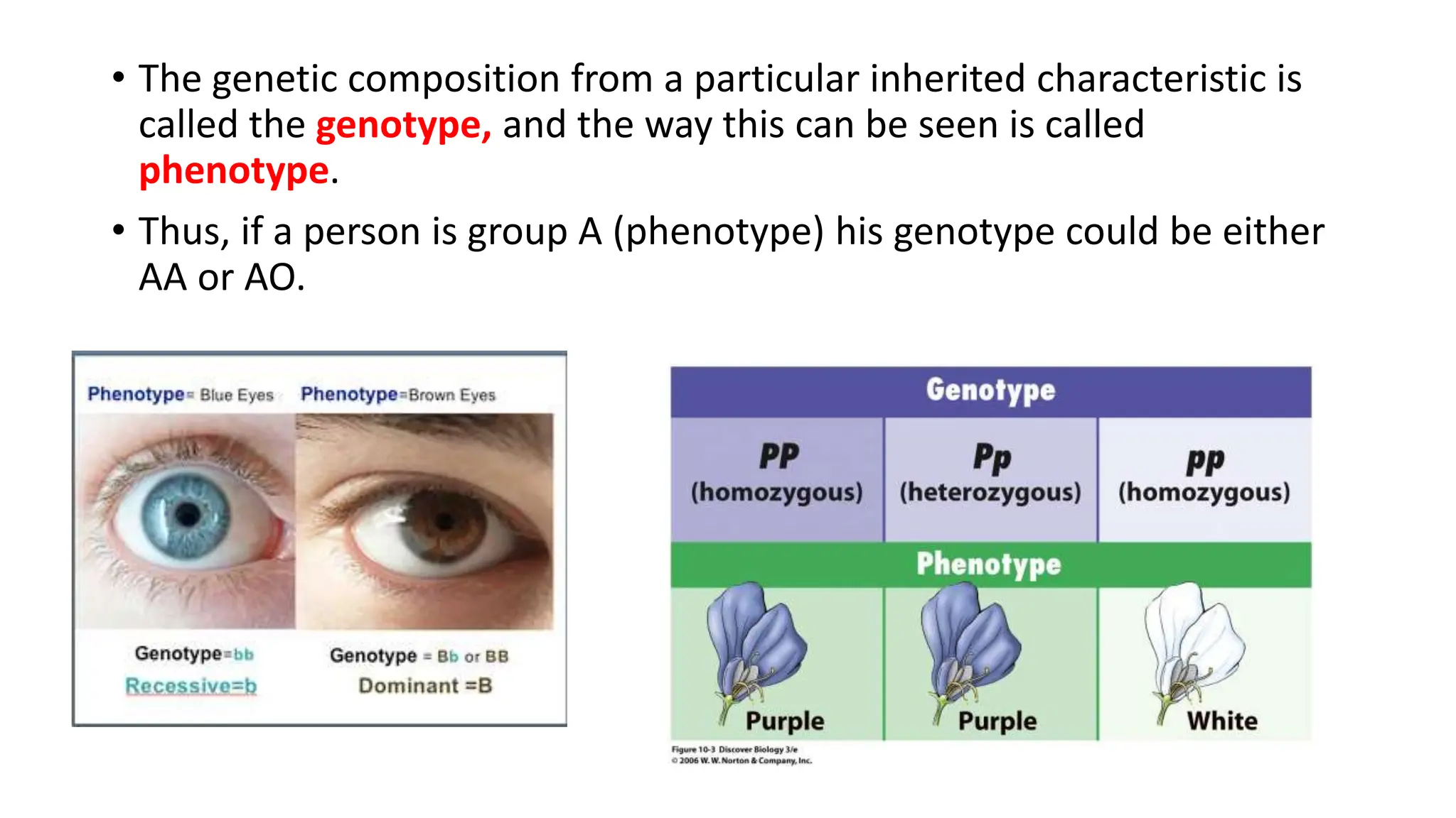 TOPIC 1 INTRODUCTION TO IMMUNOHEMATOLOGY.pptx