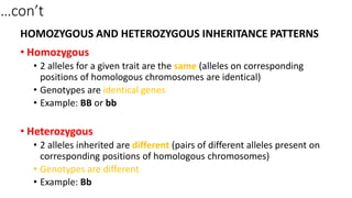 TOPIC 1 INTRODUCTION TO IMMUNOHEMATOLOGY.pptx