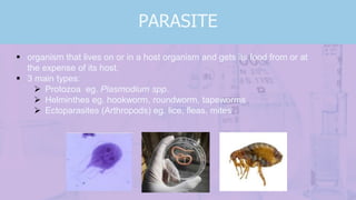 TOPIC 1 INTRODUCTION TO PARASITOLOGY.pptx