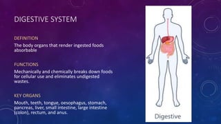 TOPIC 1 INTRODUCTION TO PHYSIOLOGY.pptx
