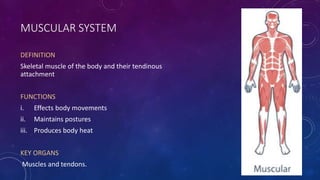 TOPIC 1 INTRODUCTION TO PHYSIOLOGY.pptx