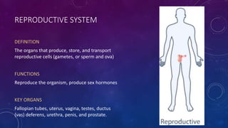 TOPIC 1 INTRODUCTION TO PHYSIOLOGY.pptx