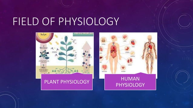 TOPIC 1 INTRODUCTION TO PHYSIOLOGY.pptx