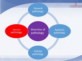Introduction Chemical Pathology - Branch & Terminology | PPTX