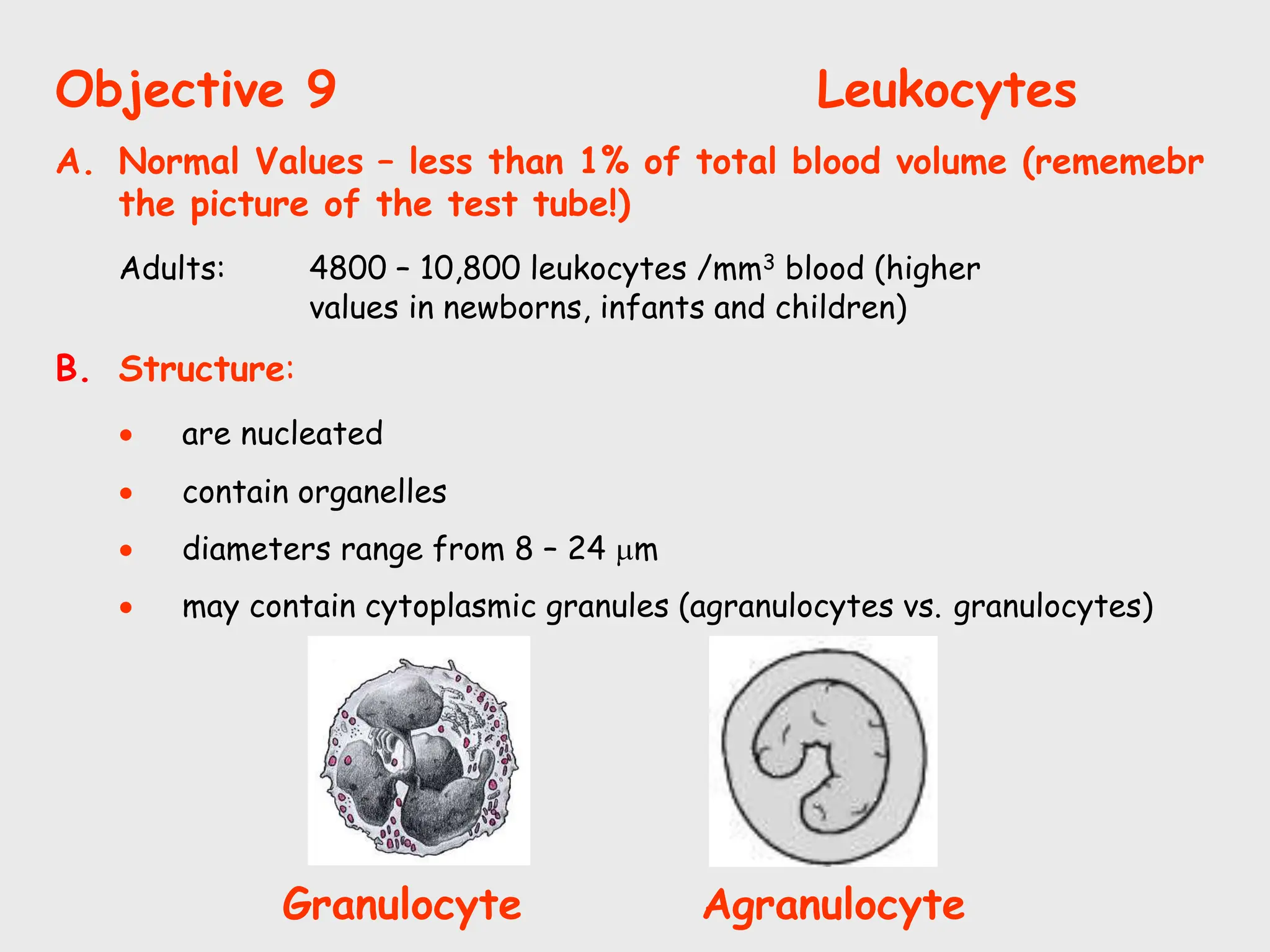 Leukopoiesis formation of white blood cell | PPT