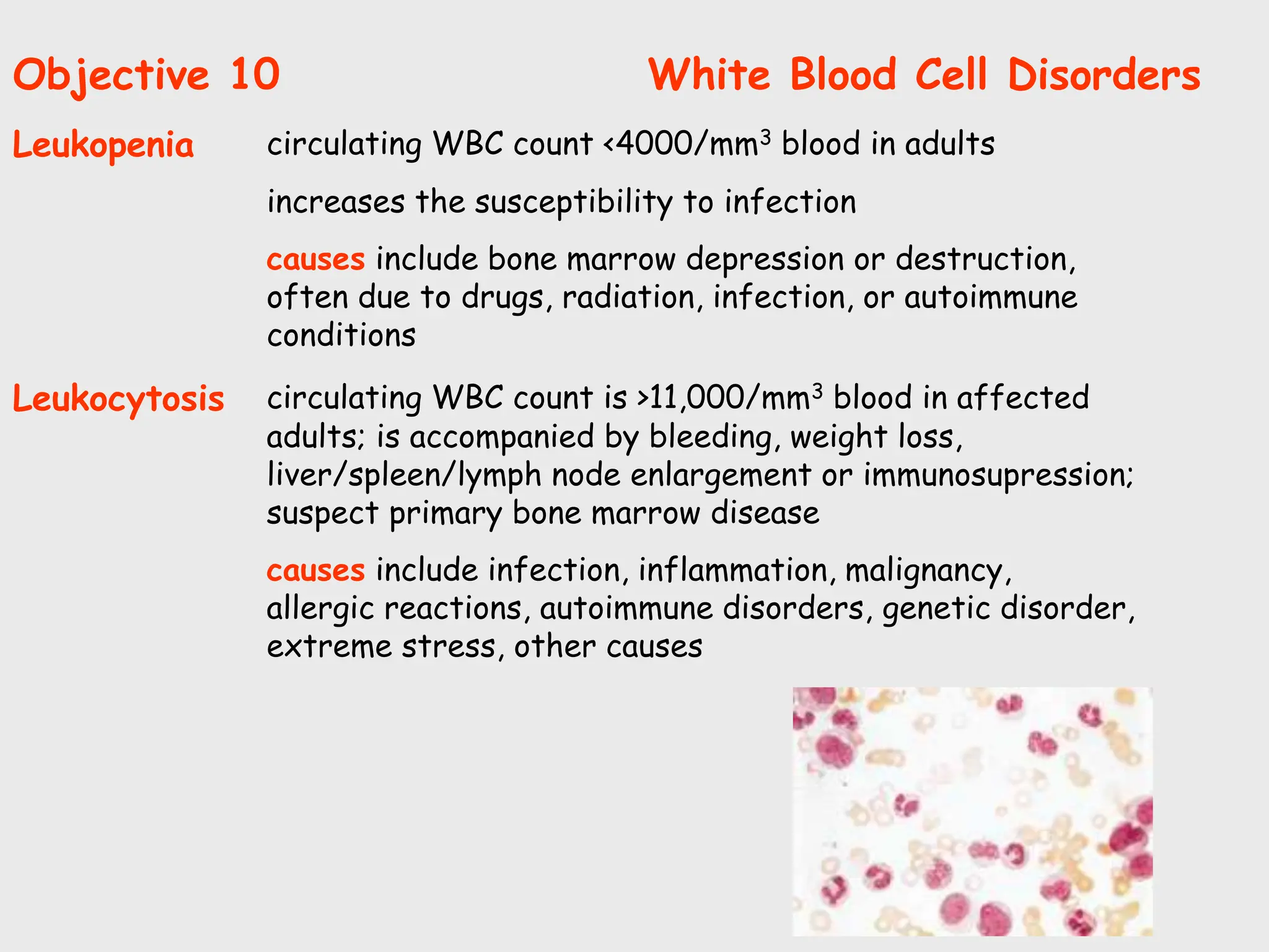 Leukopoiesis formation of white blood cell | PPT