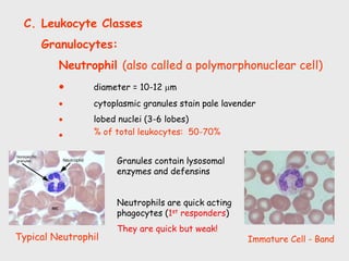 Leukopoiesis formation of white blood cell | PPT
