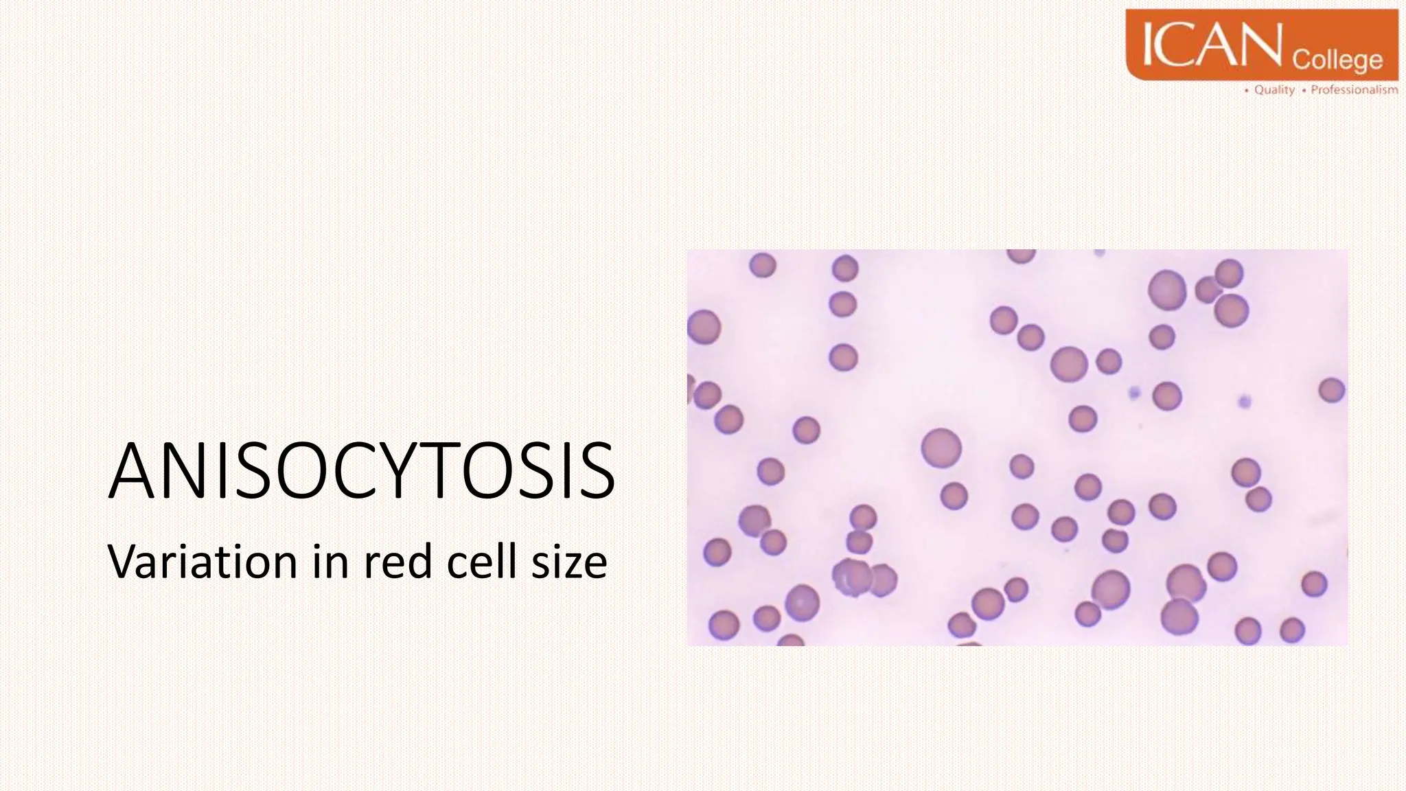 TOPIC 1 HEMATOLOGY RED CELL MORPHOLOGY STUDY.pptx