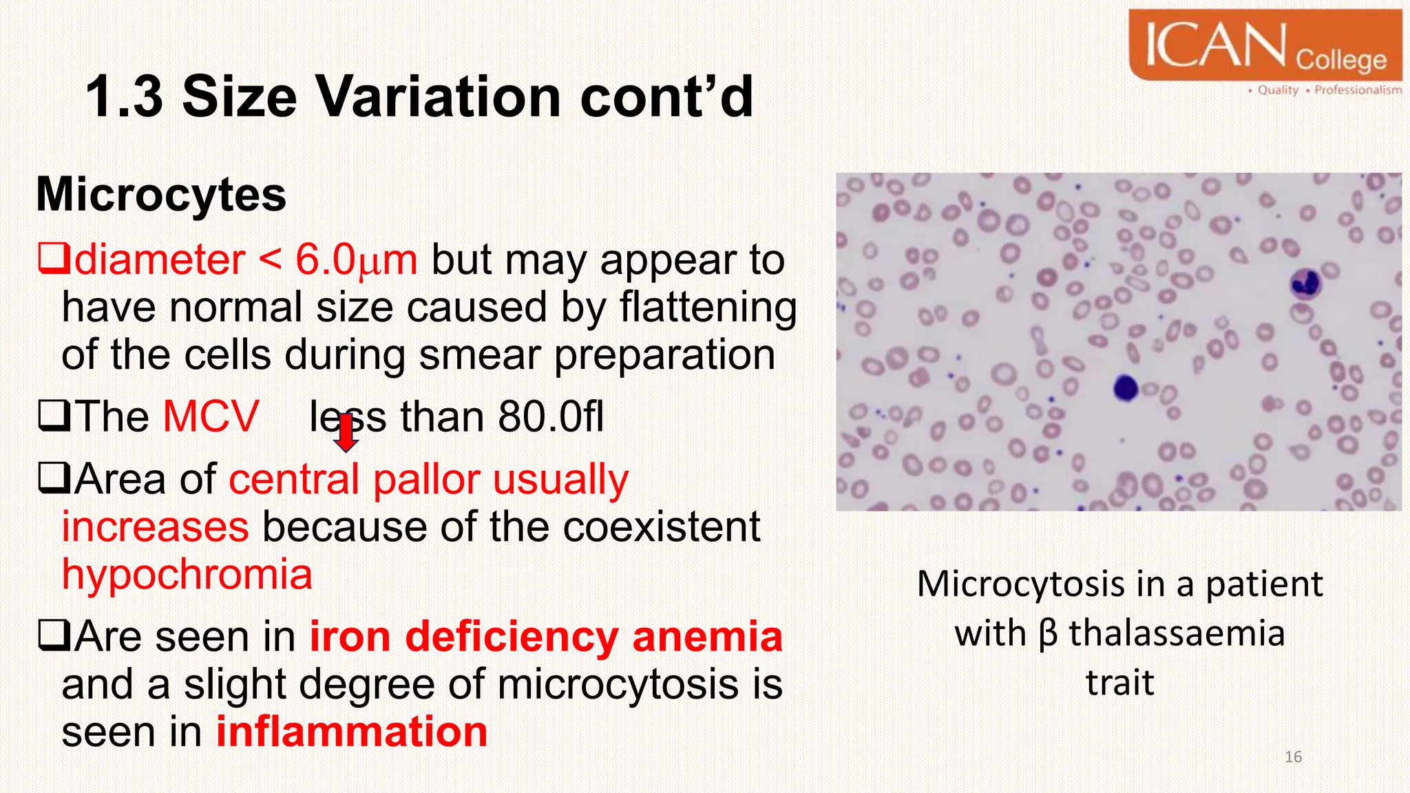TOPIC 1 HEMATOLOGY RED CELL MORPHOLOGY STUDY.pptx