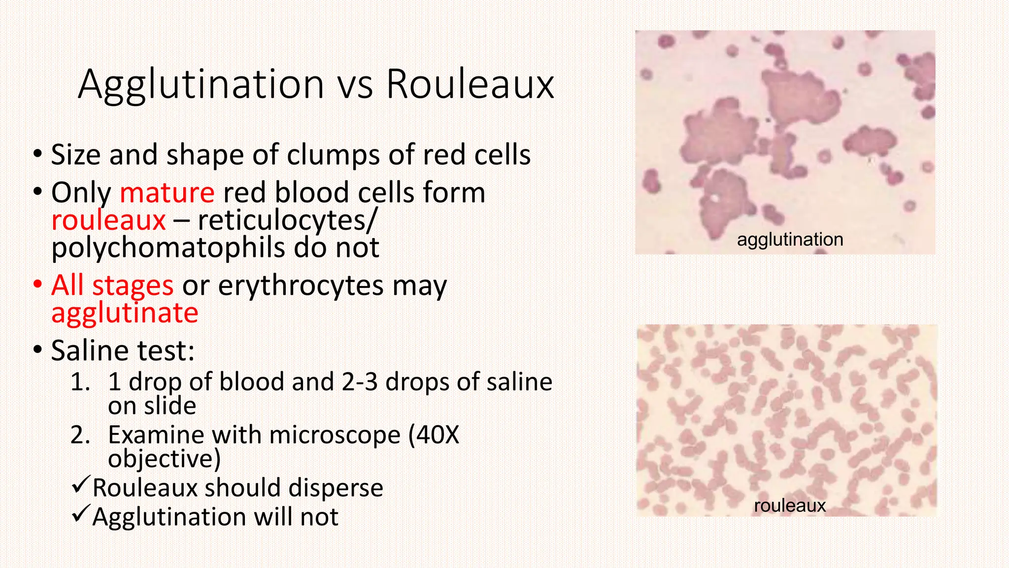 TOPIC 1 HEMATOLOGY RED CELL MORPHOLOGY STUDY.pptx