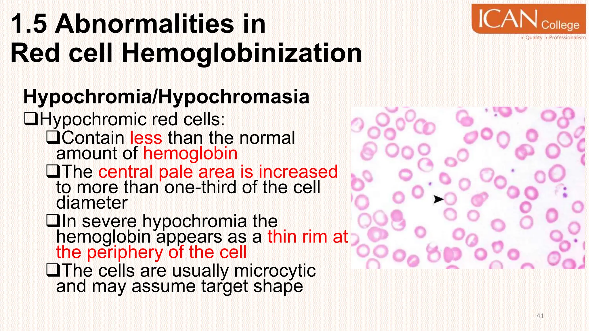 TOPIC 1 HEMATOLOGY RED CELL MORPHOLOGY STUDY.pptx