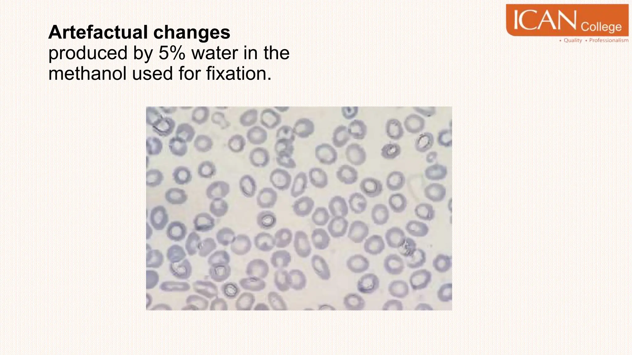 TOPIC 1 HEMATOLOGY RED CELL MORPHOLOGY STUDY.pptx