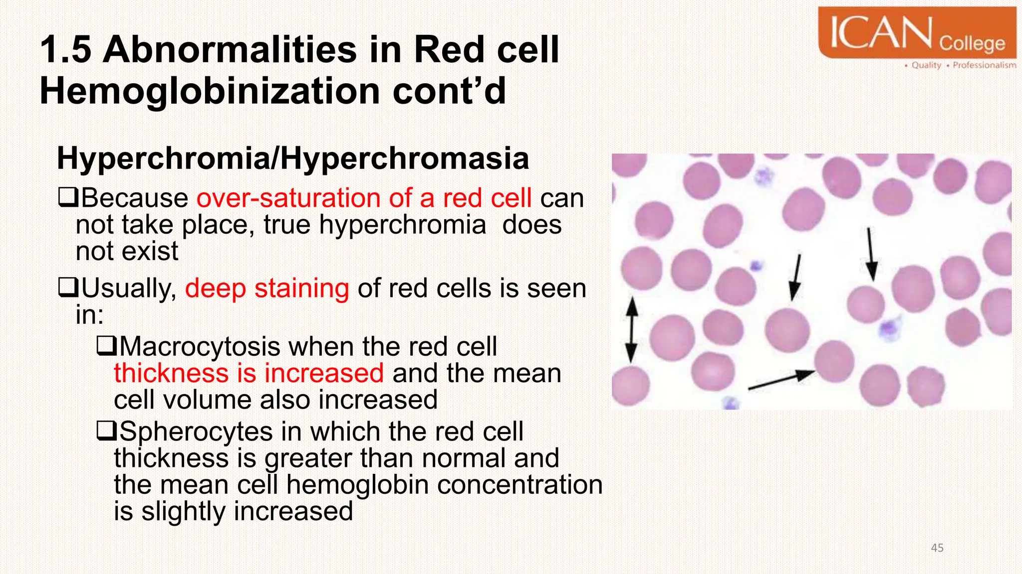 TOPIC 1 HEMATOLOGY RED CELL MORPHOLOGY STUDY.pptx