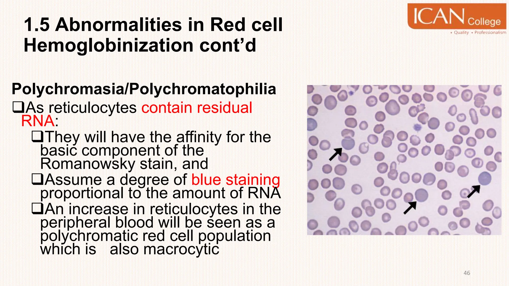 TOPIC 1 HEMATOLOGY RED CELL MORPHOLOGY STUDY.pptx