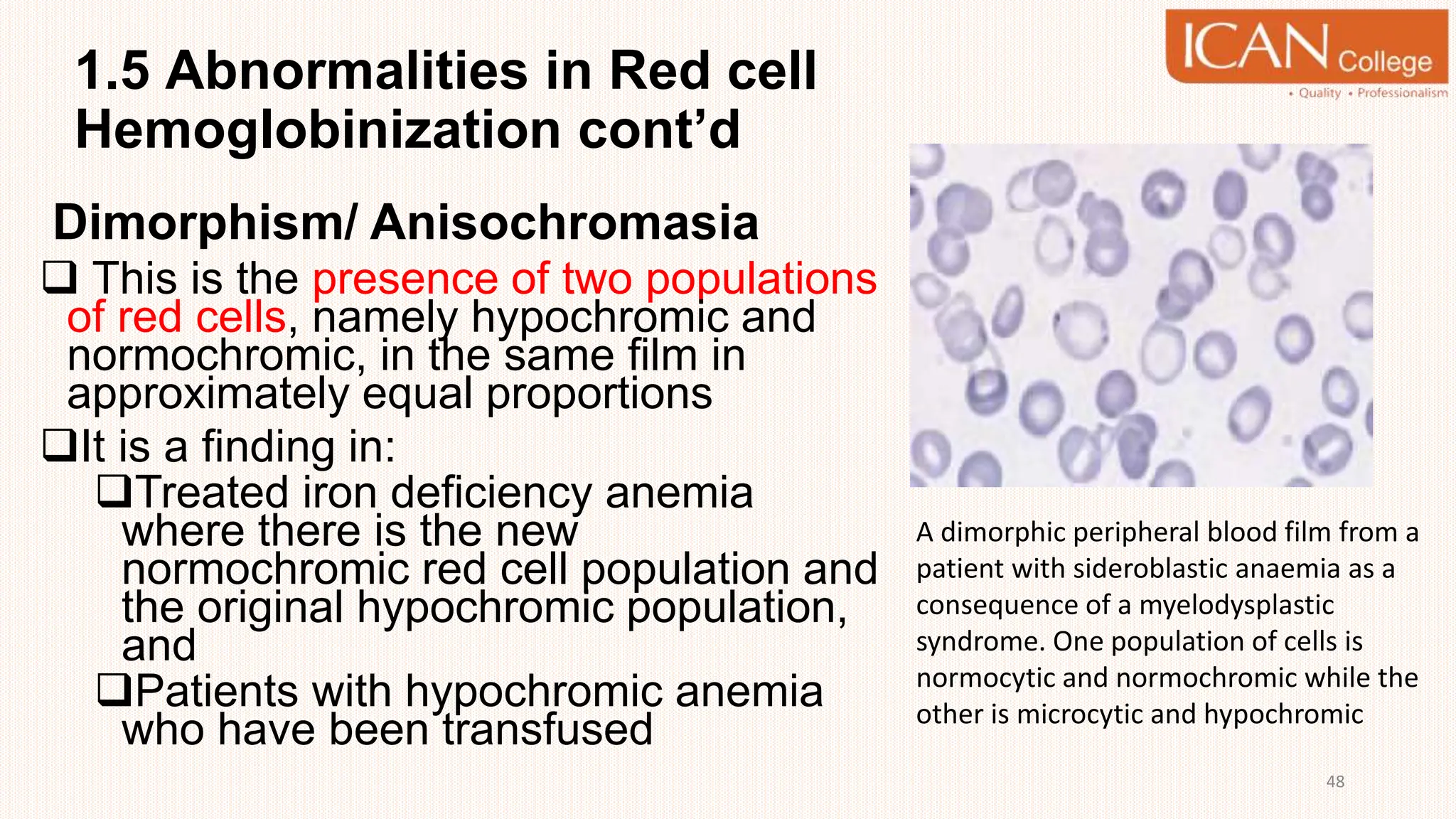 TOPIC 1 HEMATOLOGY RED CELL MORPHOLOGY STUDY.pptx