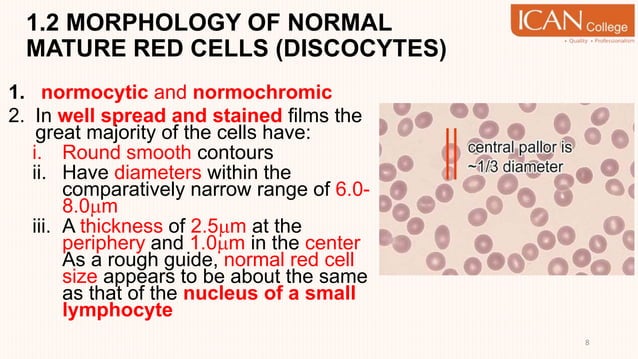 TOPIC 1 HEMATOLOGY RED CELL MORPHOLOGY STUDY.pptx