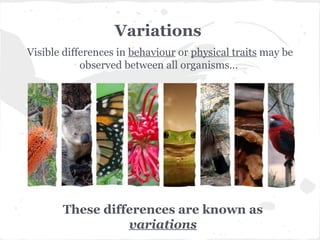 Topic 1 Slides - Biological Diversity & Survival.pptx