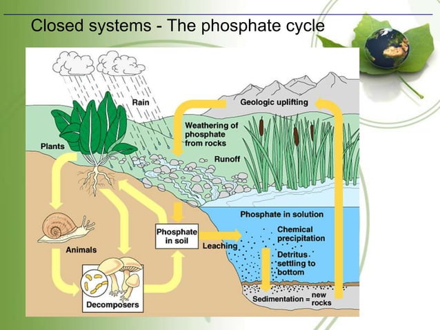 Topic 1 Systems and models | PPT