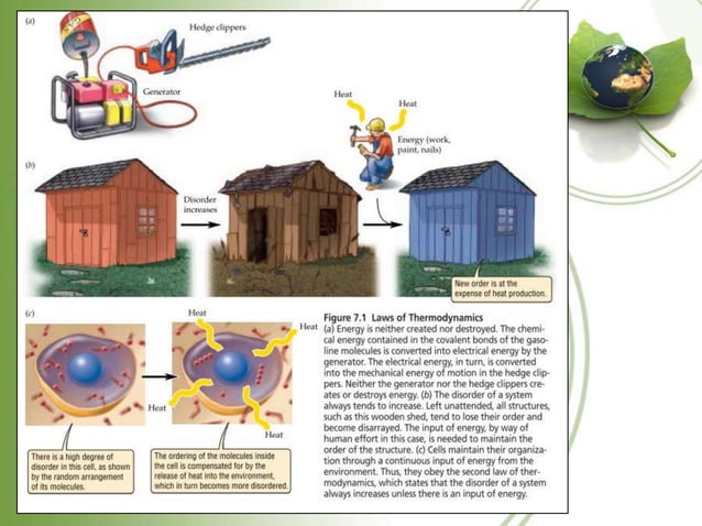 Topic 1 Systems and models | PPT
