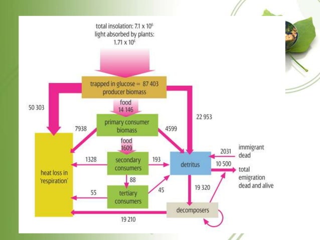 Topic 1 Systems and models | PPT