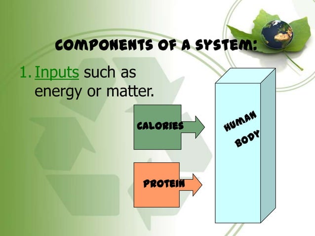 Topic 1 Systems and models | PPT