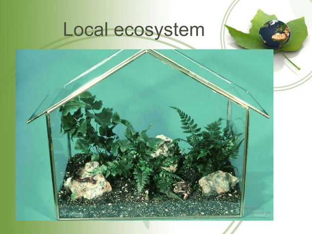 Topic 1 Systems and models | PPT