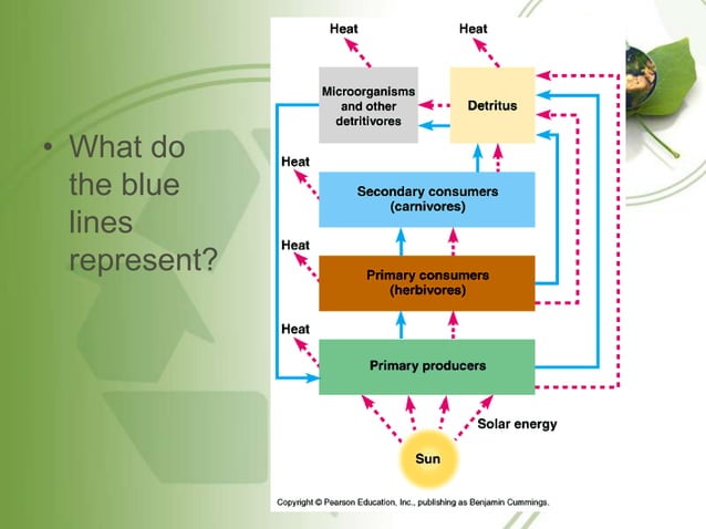Topic 1 Systems and models | PPT
