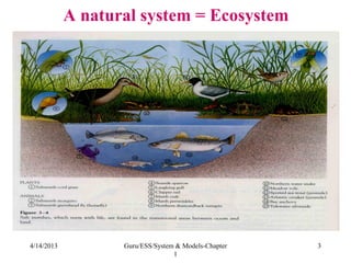 Topic 1 systems and models | PDF