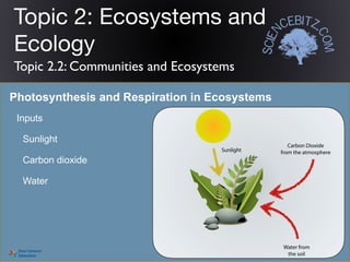 Topic 2.2 communities and ecosystems photosynthesis and respiration ss ...