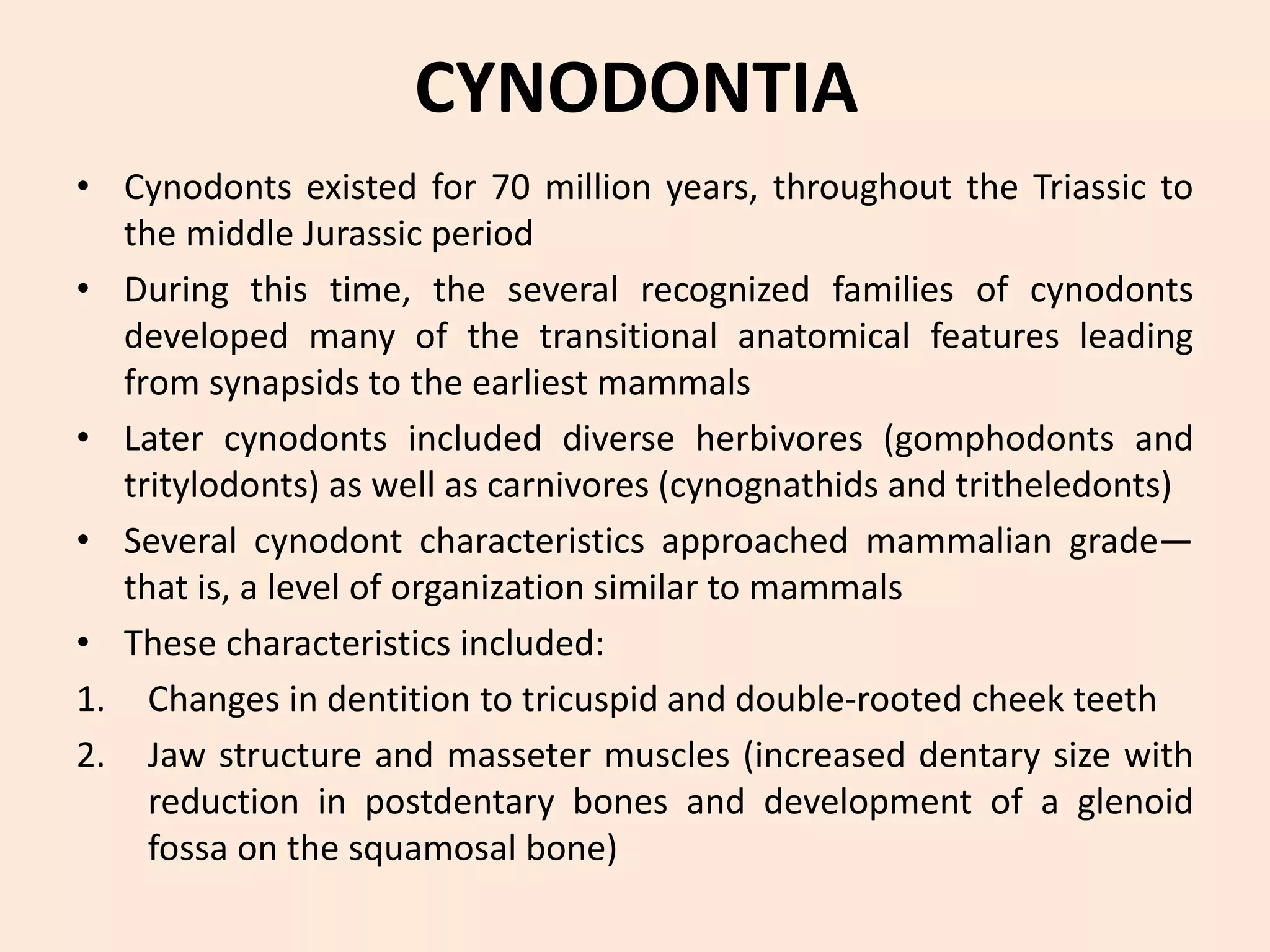 Origin and Evolution of Mammals.pptx