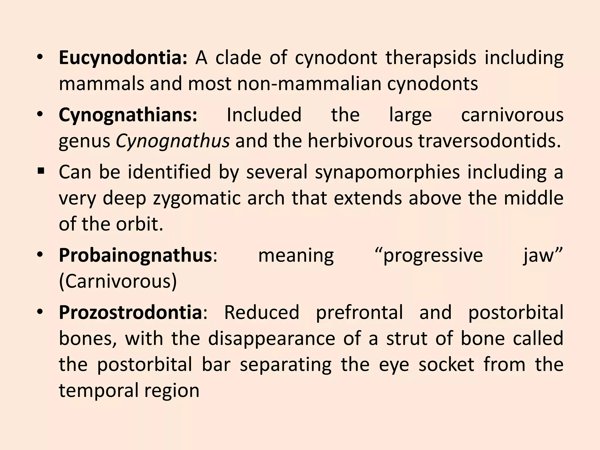 Origin and Evolution of Mammals.pptx