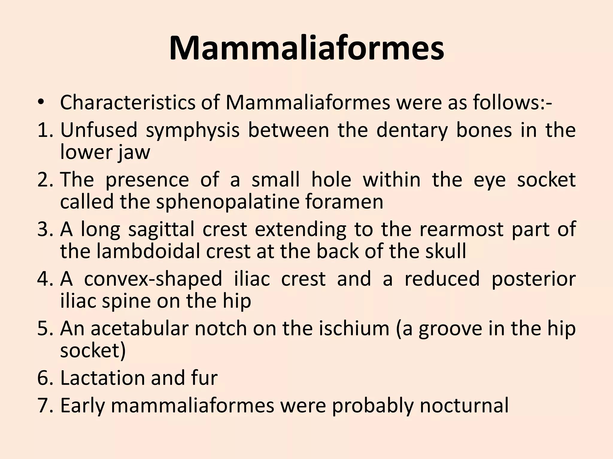 Origin and Evolution of Mammals.pptx