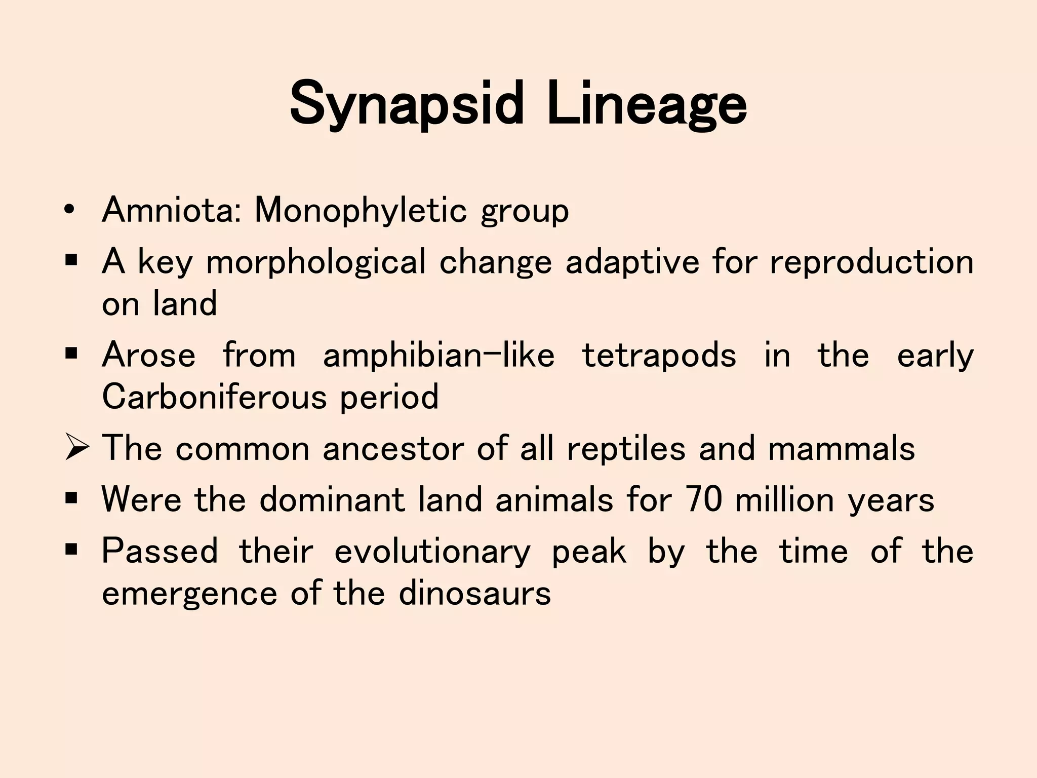 Origin and Evolution of Mammals.pptx