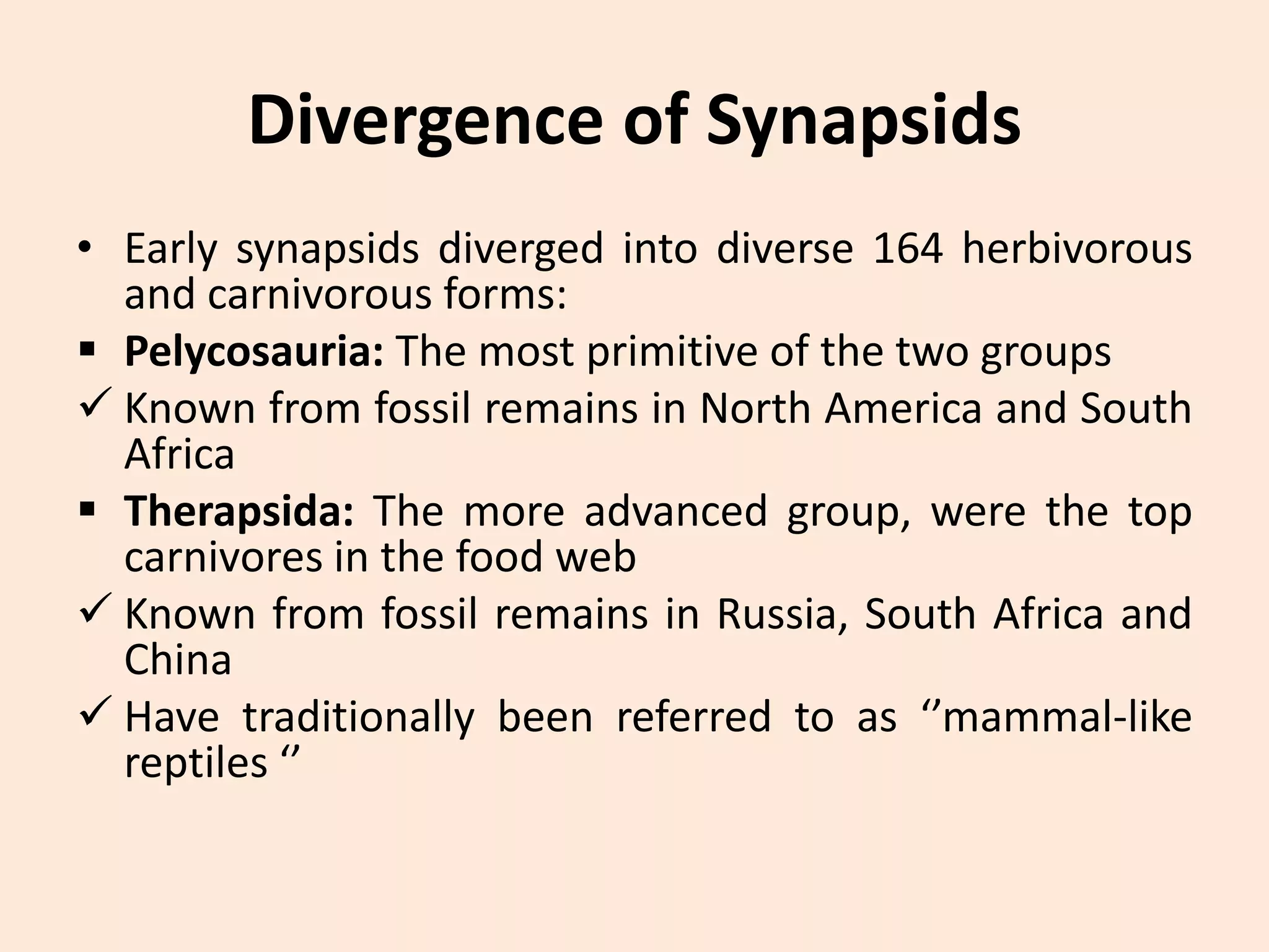 Origin and Evolution of Mammals.pptx