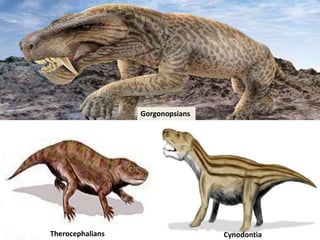 Origin and Evolution of Mammals.pptx