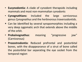 Origin and Evolution of Mammals.pptx