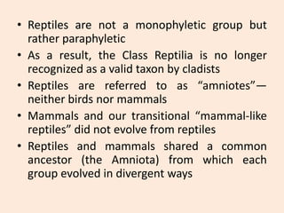 Origin and Evolution of Mammals.pptx