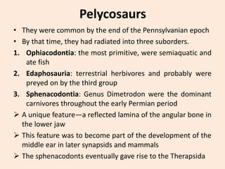 Origin and Evolution of Mammals.pptx