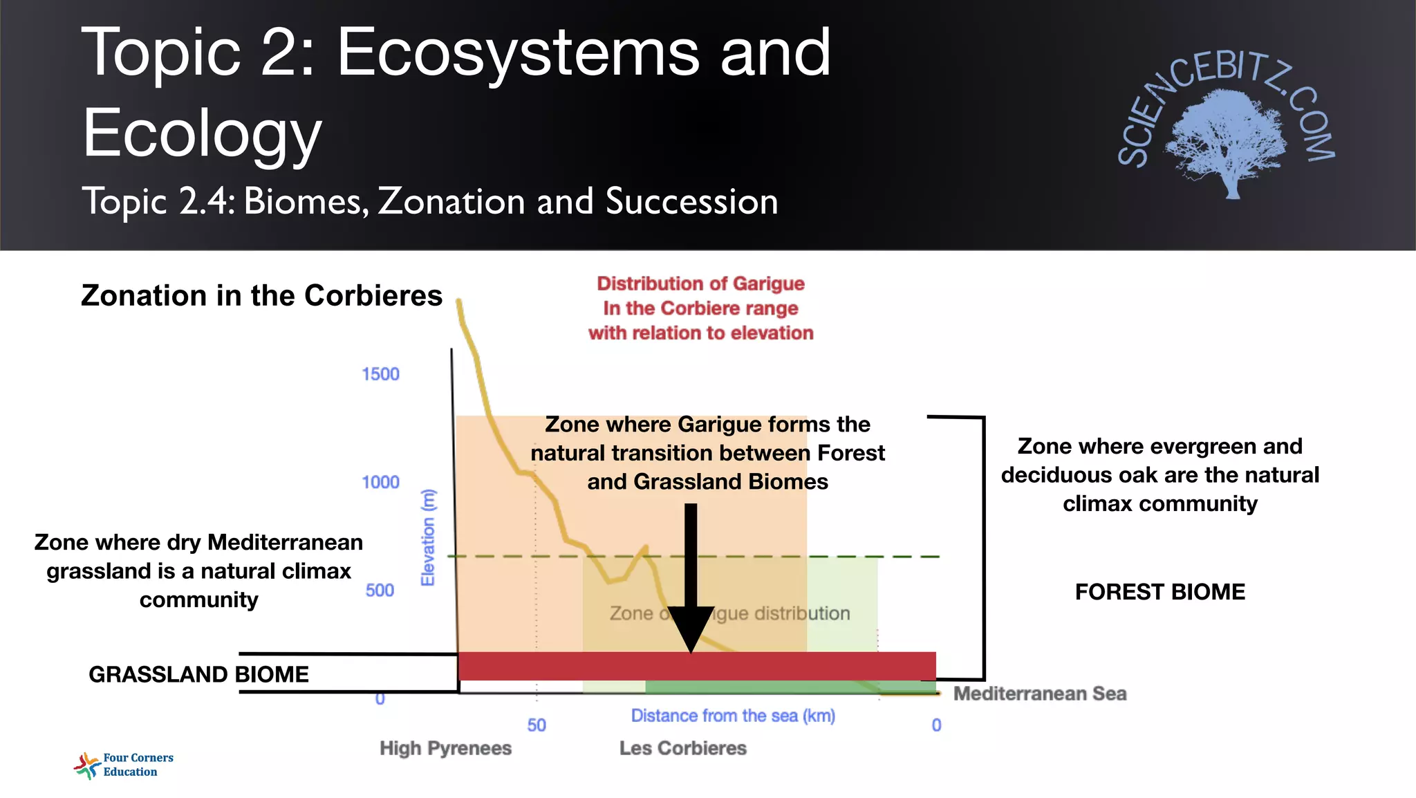 Topic 2.4 - Biomes, Zonation and Succession in the Pyrenees.pdf