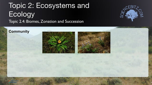 Topic 2.4 - Biomes, Zonation and Succession in the Pyrenees.pdf