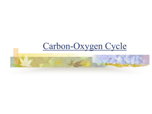 carbon oxygen cycle | PPT | Chemistry | Science