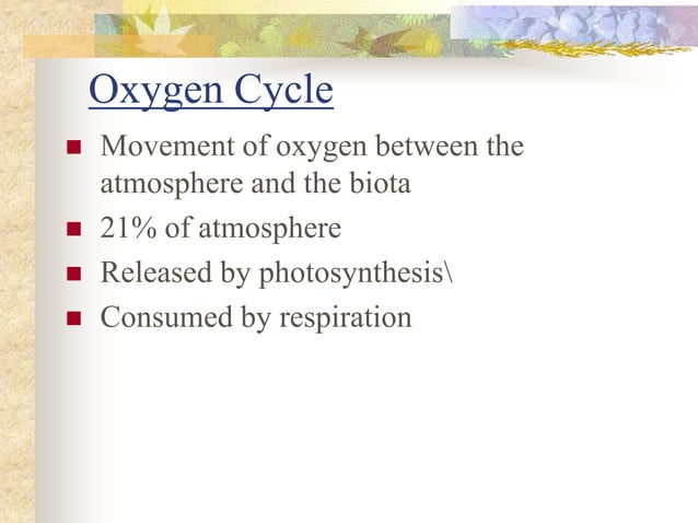 carbon oxygen cycle | PPT | Chemistry | Science