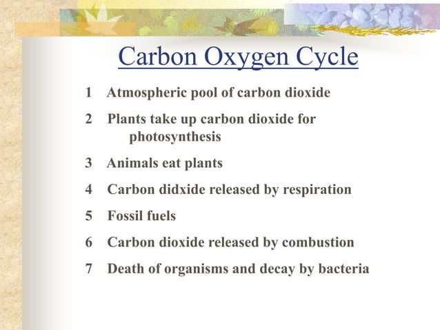 carbon oxygen cycle | PPT | Chemistry | Science