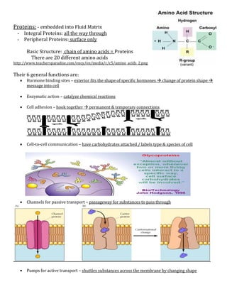Topic2.4 membrane-notes | PDF