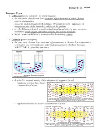 Topic2.4 membrane-notes | PDF